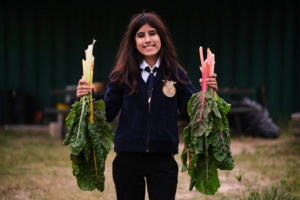 Furr High School - XQ